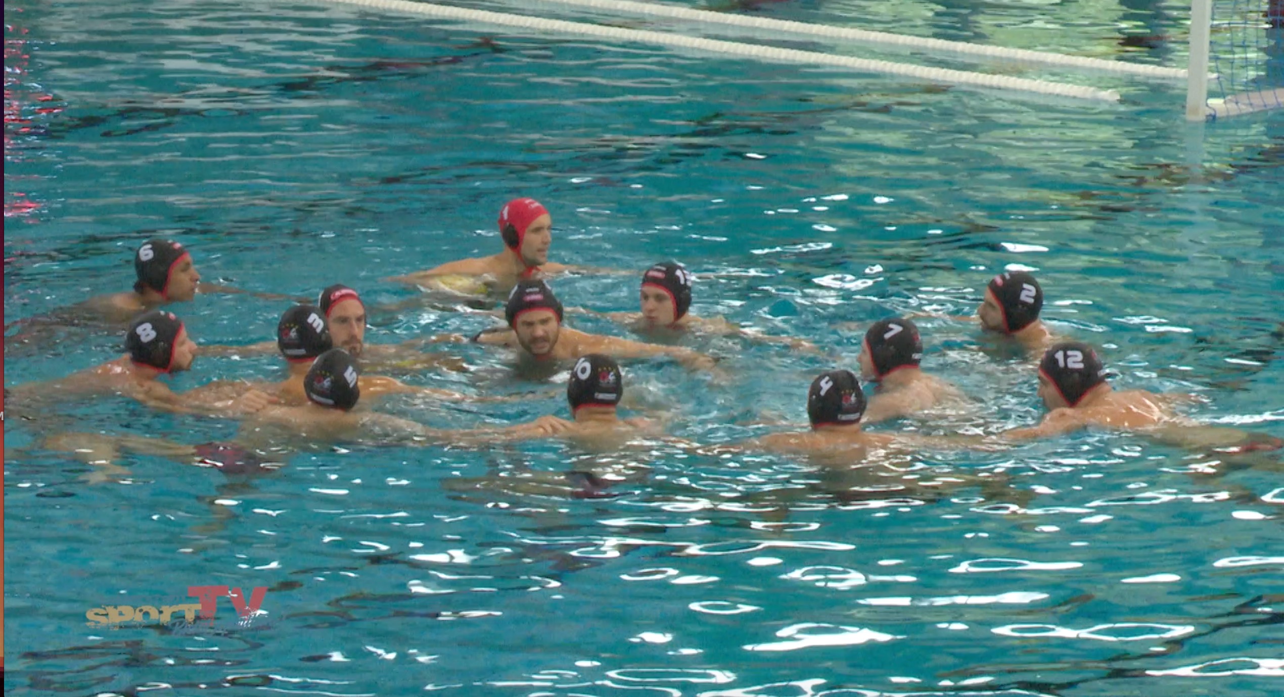 Wasserfreunde Spandau 04 vs Waspo 98 Hannover I best of five ⋆ ...